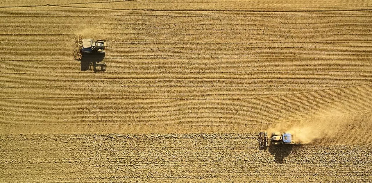 Izvješće UN-a o klimatskim promjenama: Krčenje zemljišta i poljoprivreda doprinose trećini svjetskih stakleničkih plinova