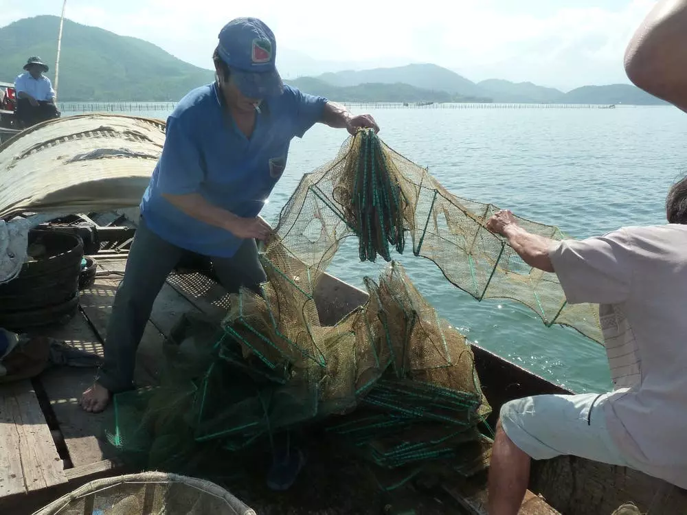 Lehren für nachhaltige Fischerei verstecken sich vor aller Augen
