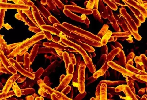 Der Entwicklung von Tuberkulose-Medikamentenresistenzen einen Schritt voraus
