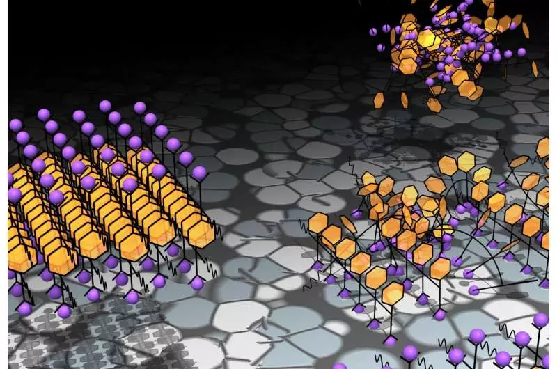 Die Änderung der Struktur eines Moleküls kann es auf einen anderen Weg zur Kristallisation schicken